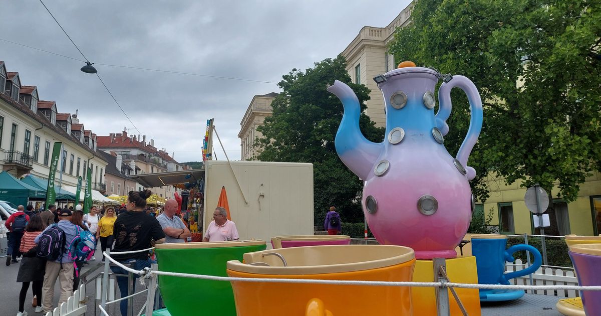 Grätzlfest in Ober St. Veit | WIENerLEBEN